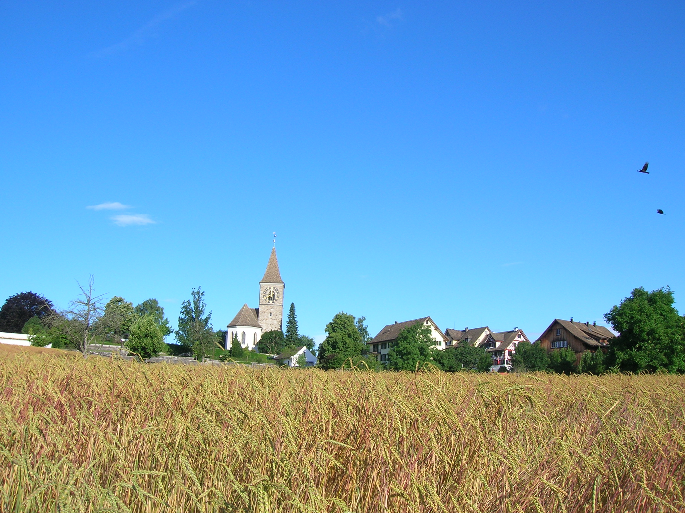 Reformierte Kirchgemeinde Kilchberg – 8802 Kilchberg
