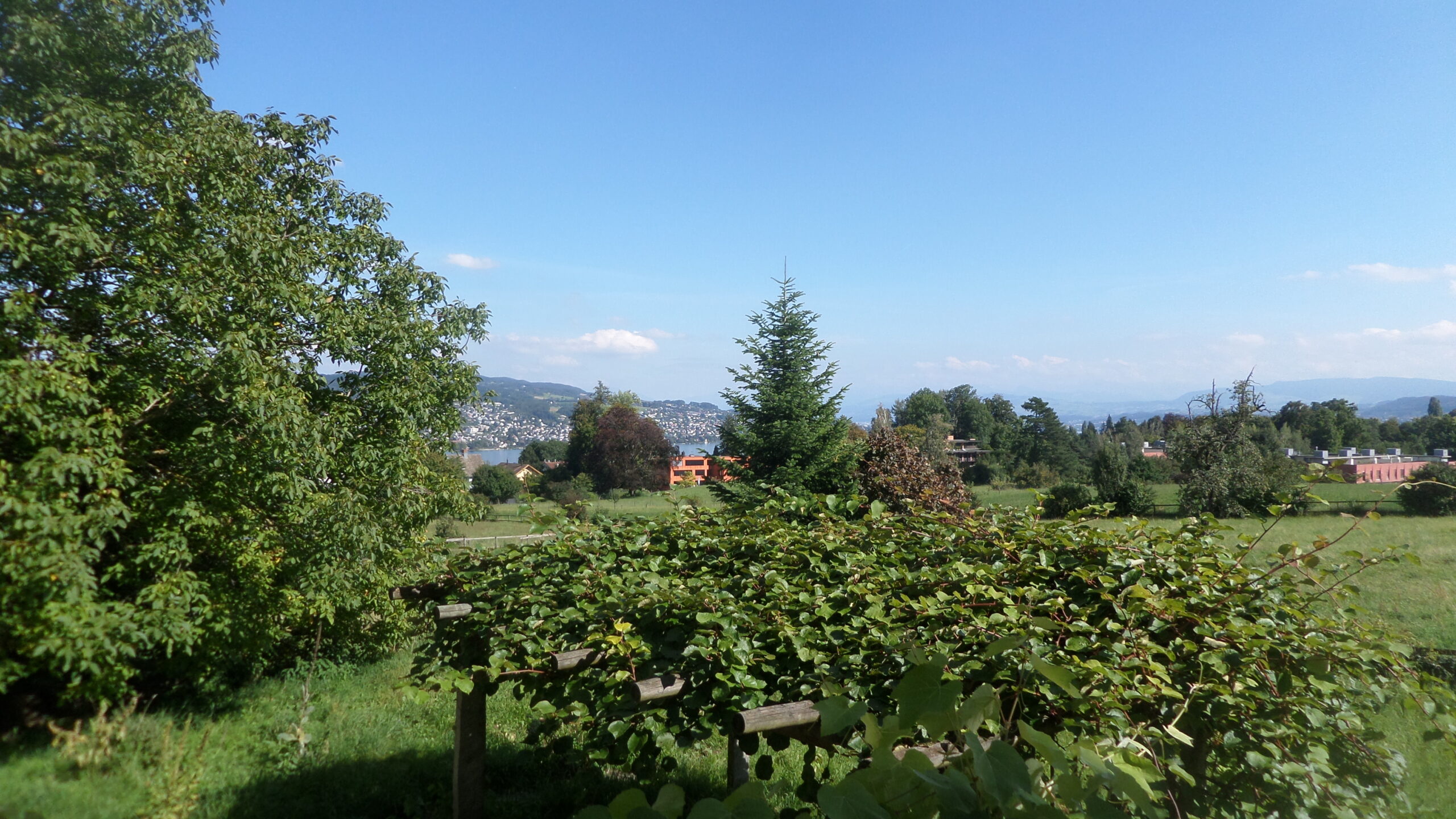 Reformierte Kirchgemeinde Kilchberg – 8802 Kilchberg